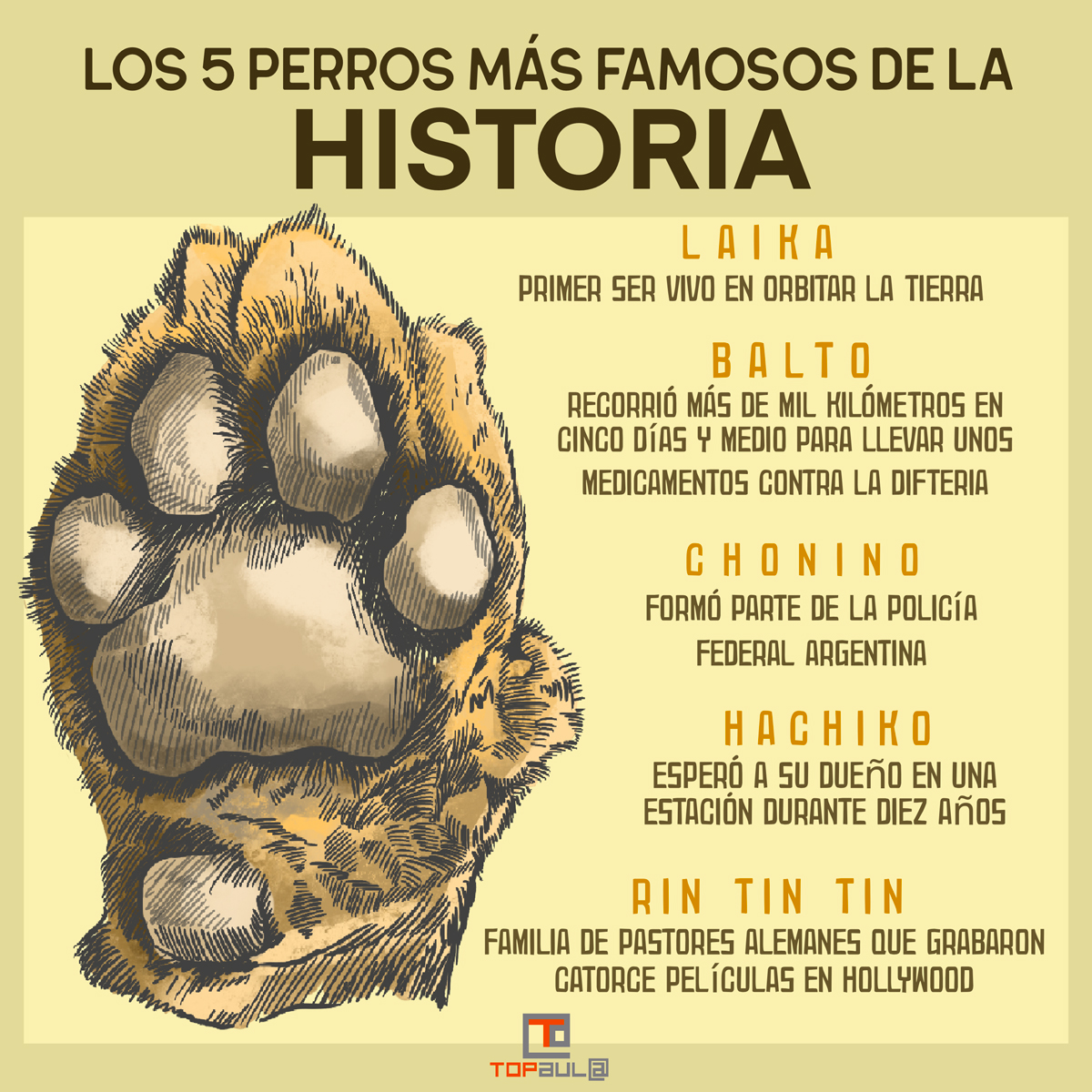 Conoce-a-los-perros-más-famosos-de-la-historia-Infografia | TOP aul@